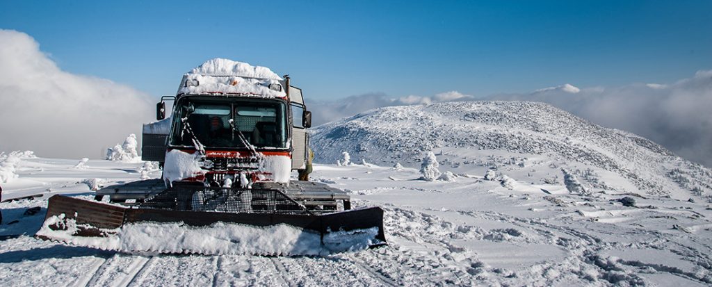 Cold Flow Imporvers / WASA | Cestoil Chemical Inc.